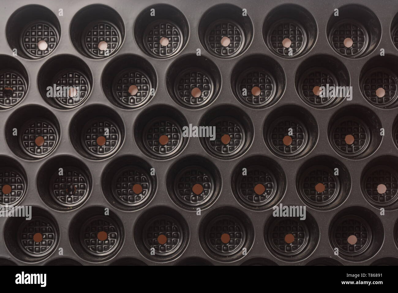 Seed starting trays High Resolution Stock Photography and Images - Alamy