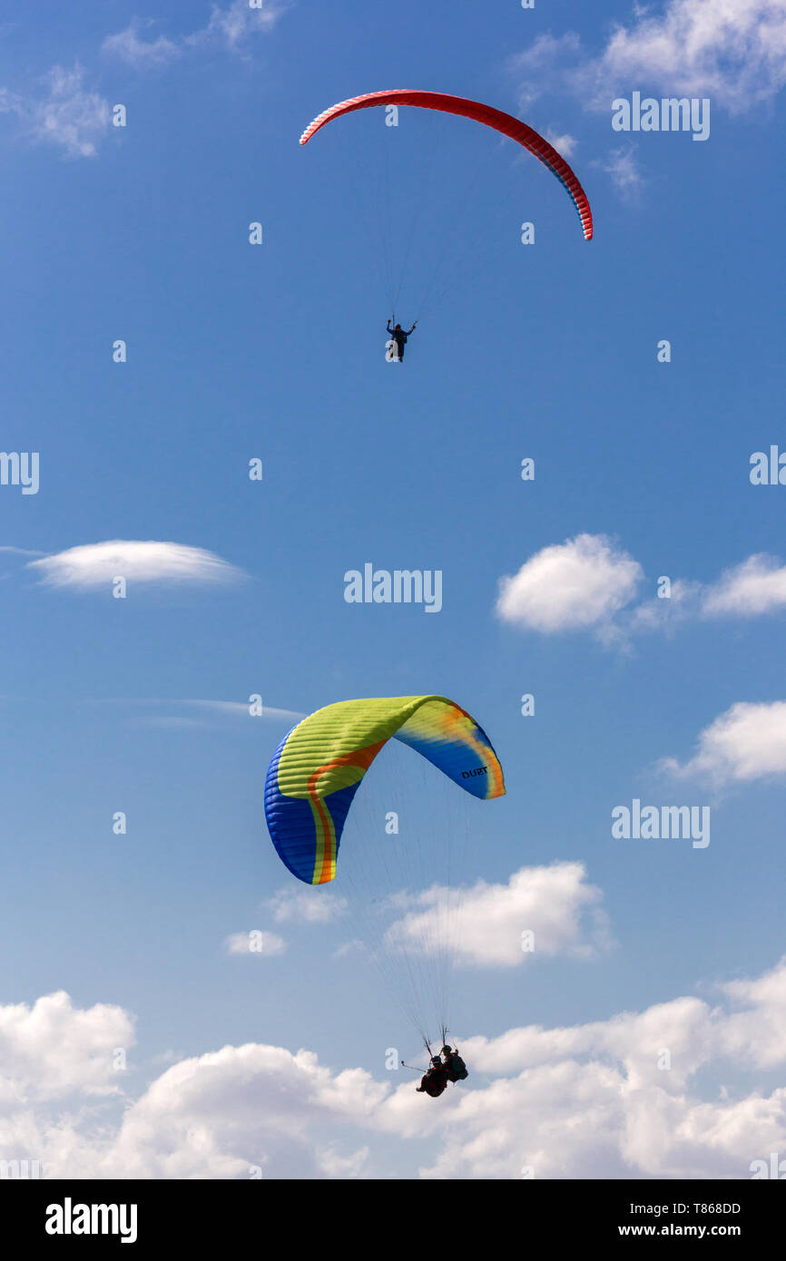 Sky parachutes hi-res stock photography and images - Alamy