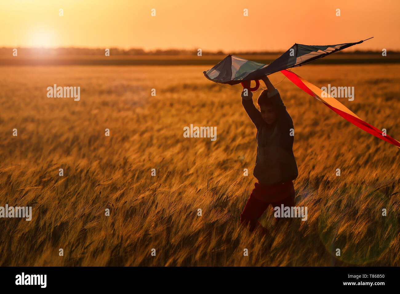 Little boy flying kite in the field at sunset Stock Photo - Alamy