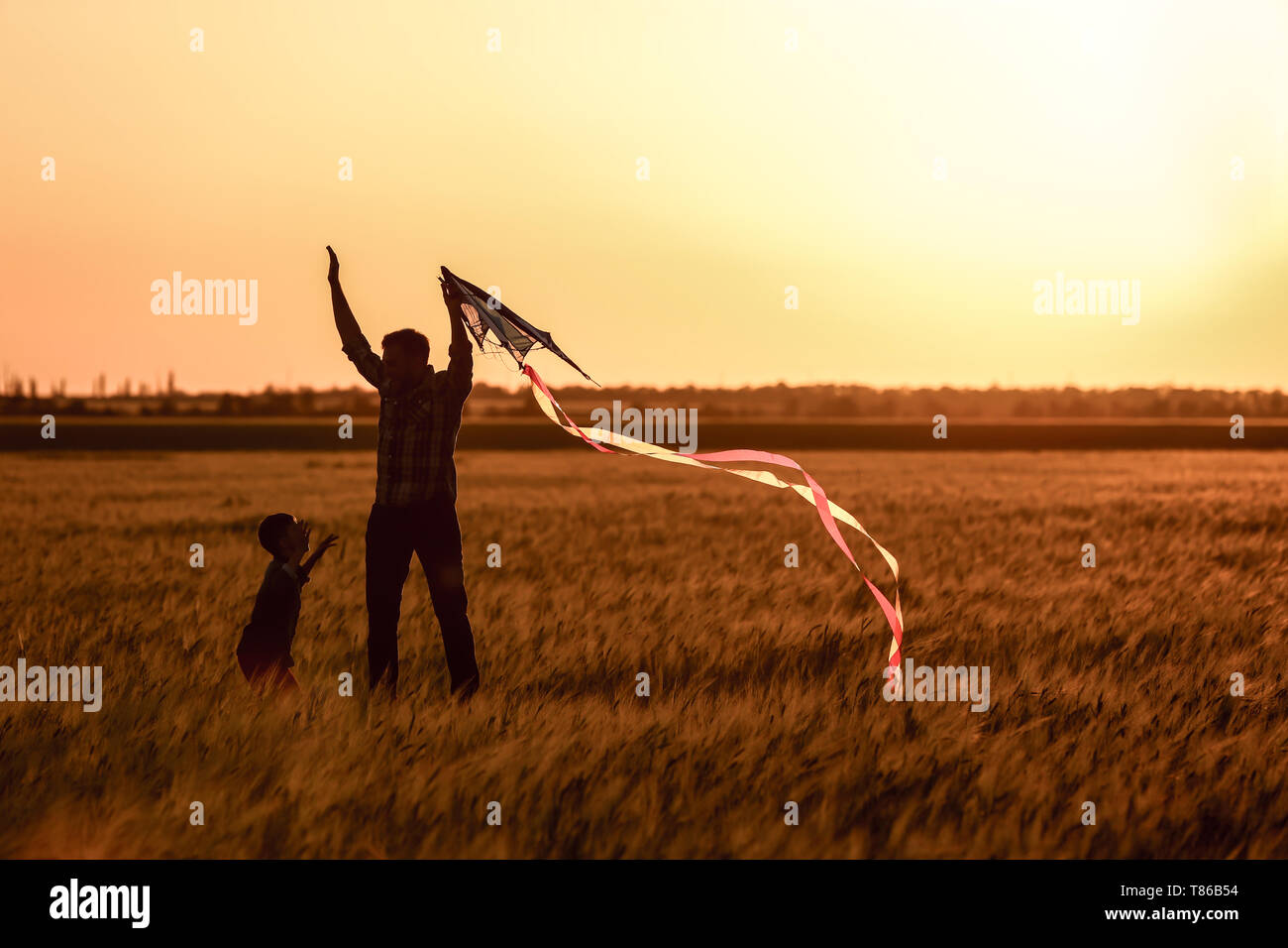 Happy father and son flying kite in the field at sunset Stock Photo - Alamy