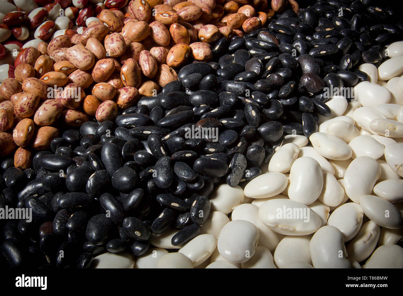 Mix of different in size and color of beans Stock Photo - Alamy