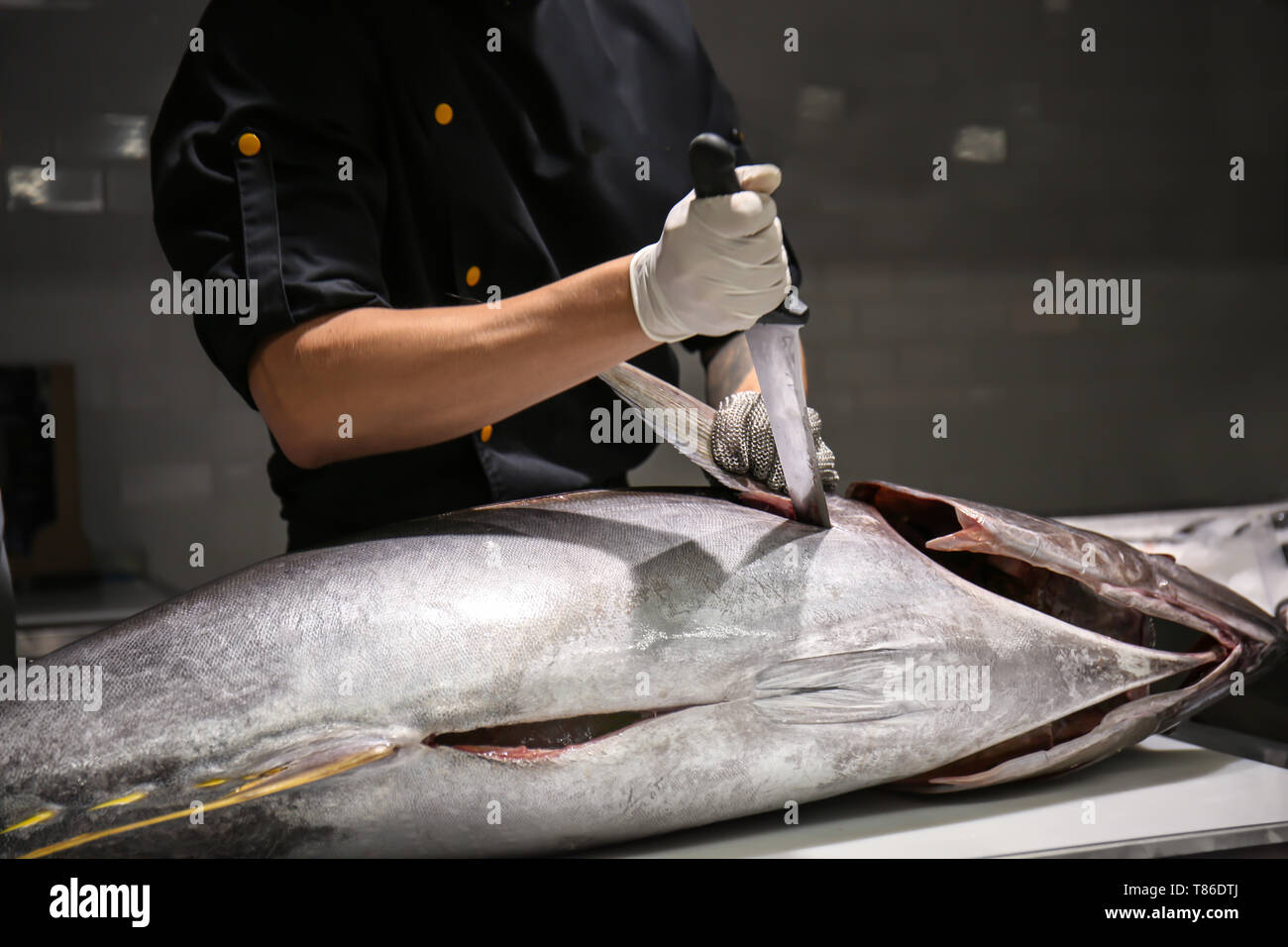 Man male holding fish tuna hi-res stock photography and images - Alamy
