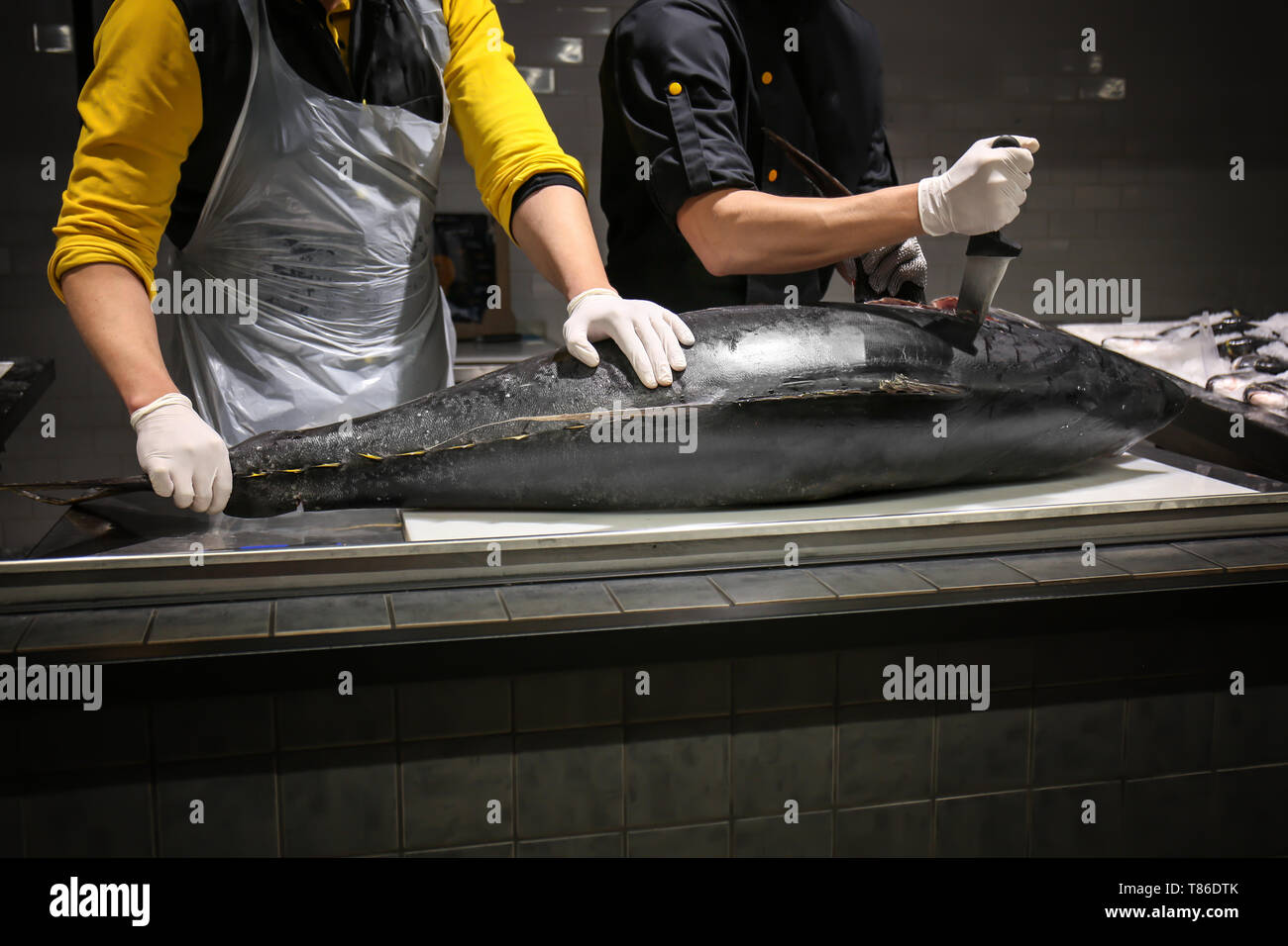 Hands in gloves holding fish hi-res stock photography and images - Alamy
