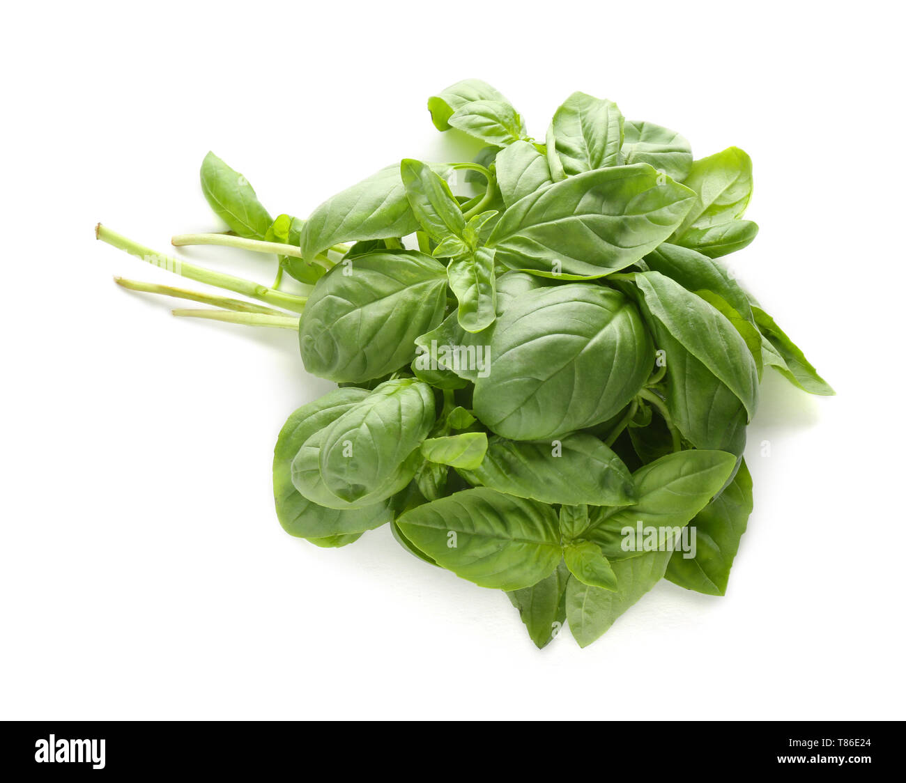 Bunch of fresh basil Cut Out Stock Images & Pictures - Alamy