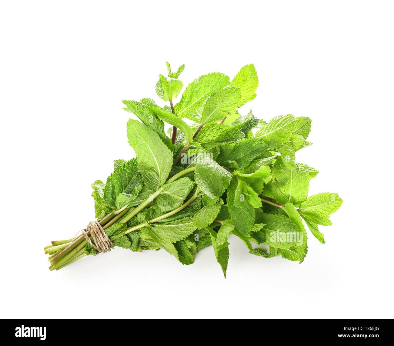 Bunch of fresh mint Cut Out Stock Images & Pictures - Alamy