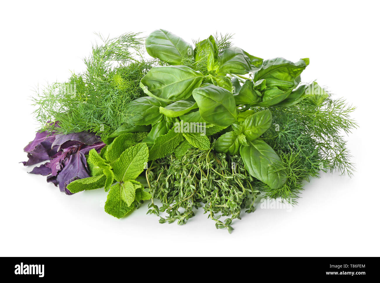 Fresh herbs on white background Stock Photo - Alamy