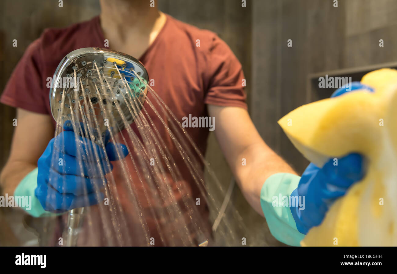 Glass sponge hi-res stock photography and images - Alamy