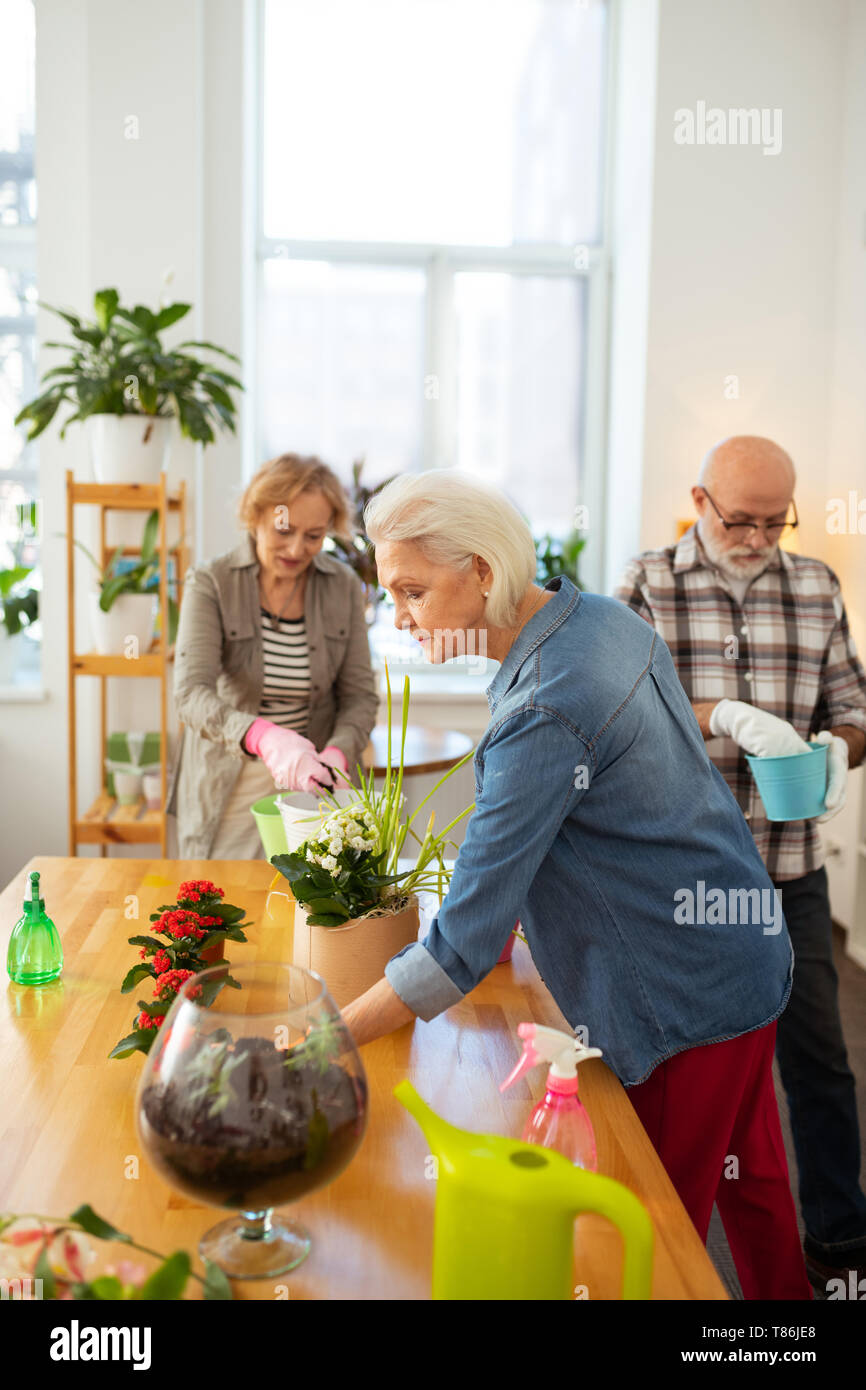 Nice elderly woman taking a flower pot Stock Photo - Alamy