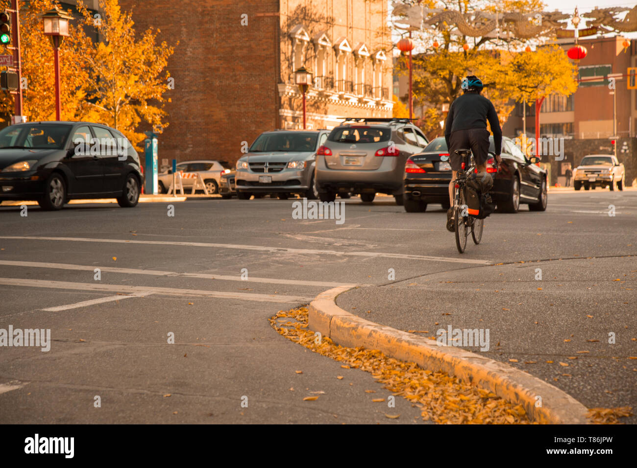 Bicyclist adult cycle hi-res stock photography and images - Alamy
