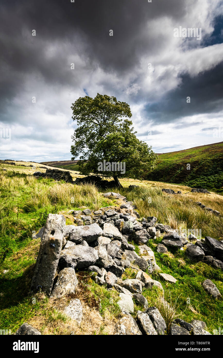 Walking haworth moor hi-res stock photography and images - Alamy