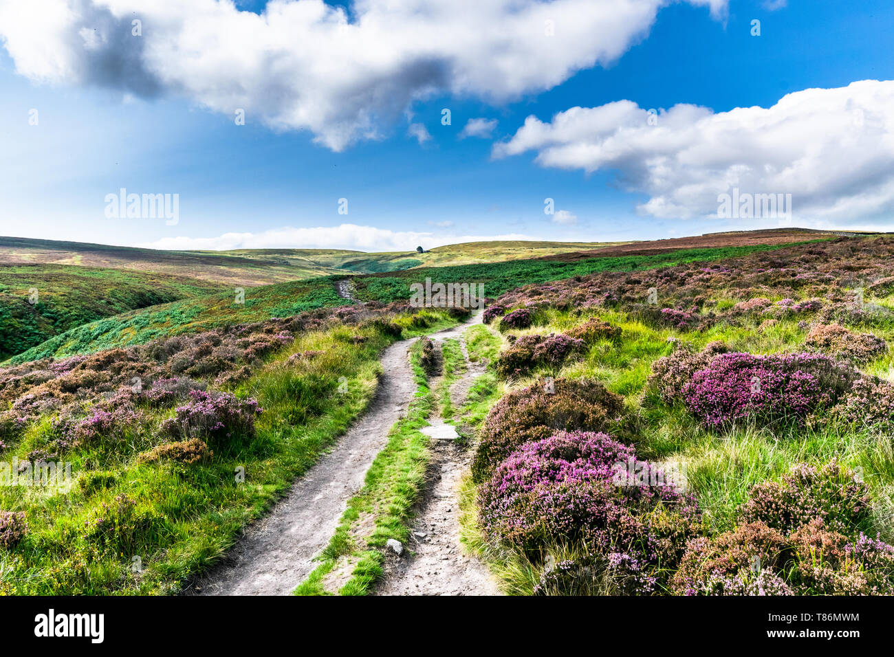 Walking haworth moor hi-res stock photography and images - Alamy