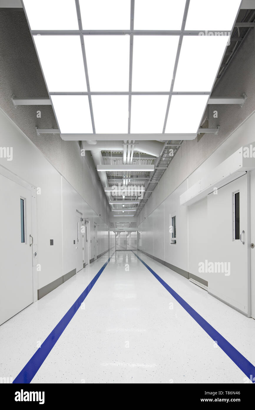 Blue stripes on jail corridor Stock Photo - Alamy