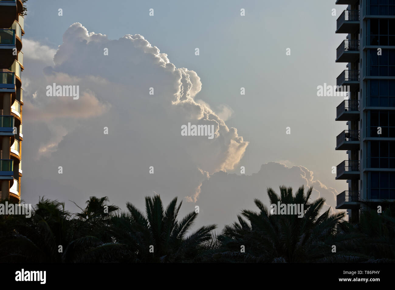 Framed view between trees hi-res stock photography and images - Alamy