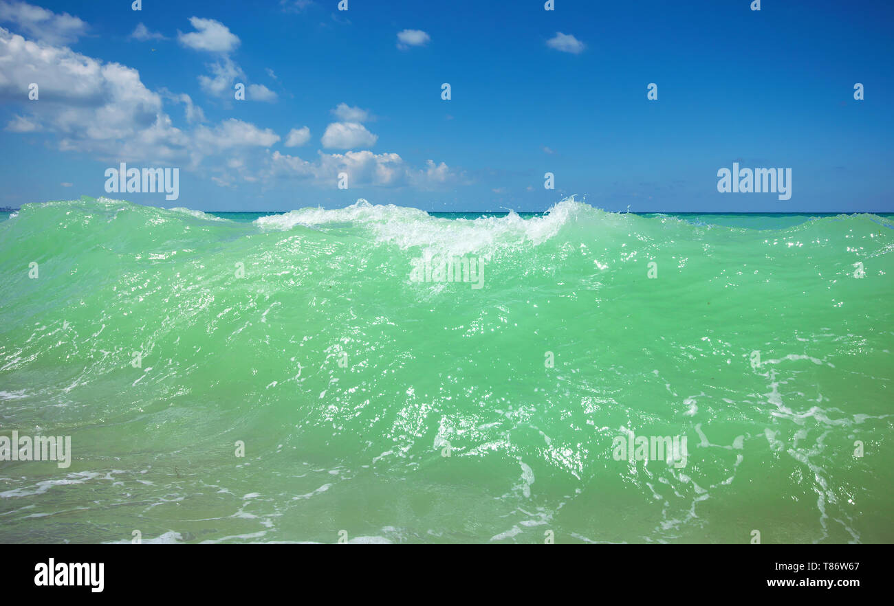 Sea wave breeze. Nature composition Stock Photo - Alamy
