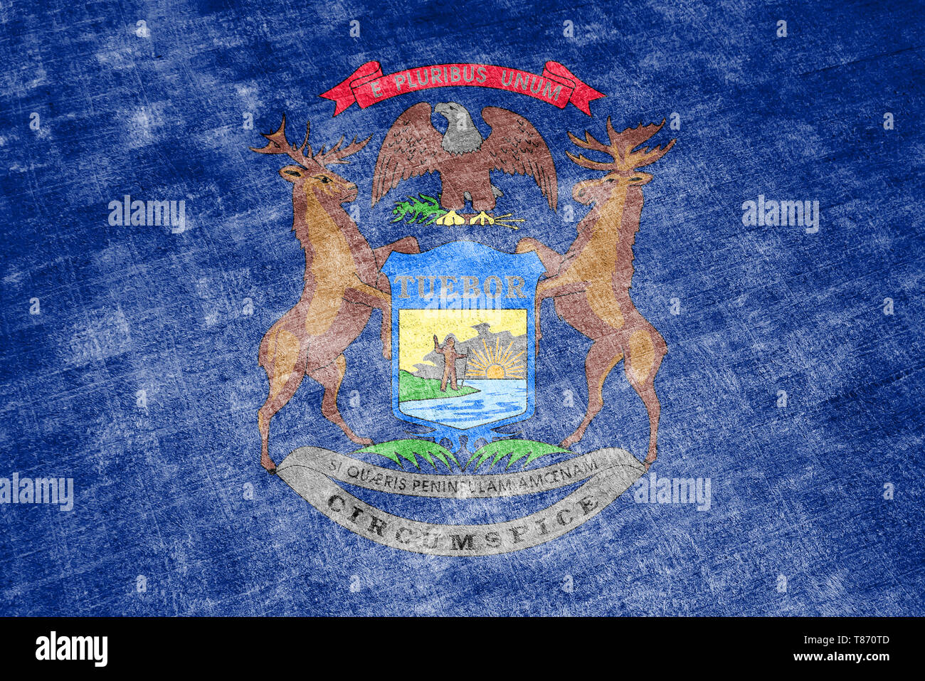 The national flag of the US state Michigan in against a gray textile ...