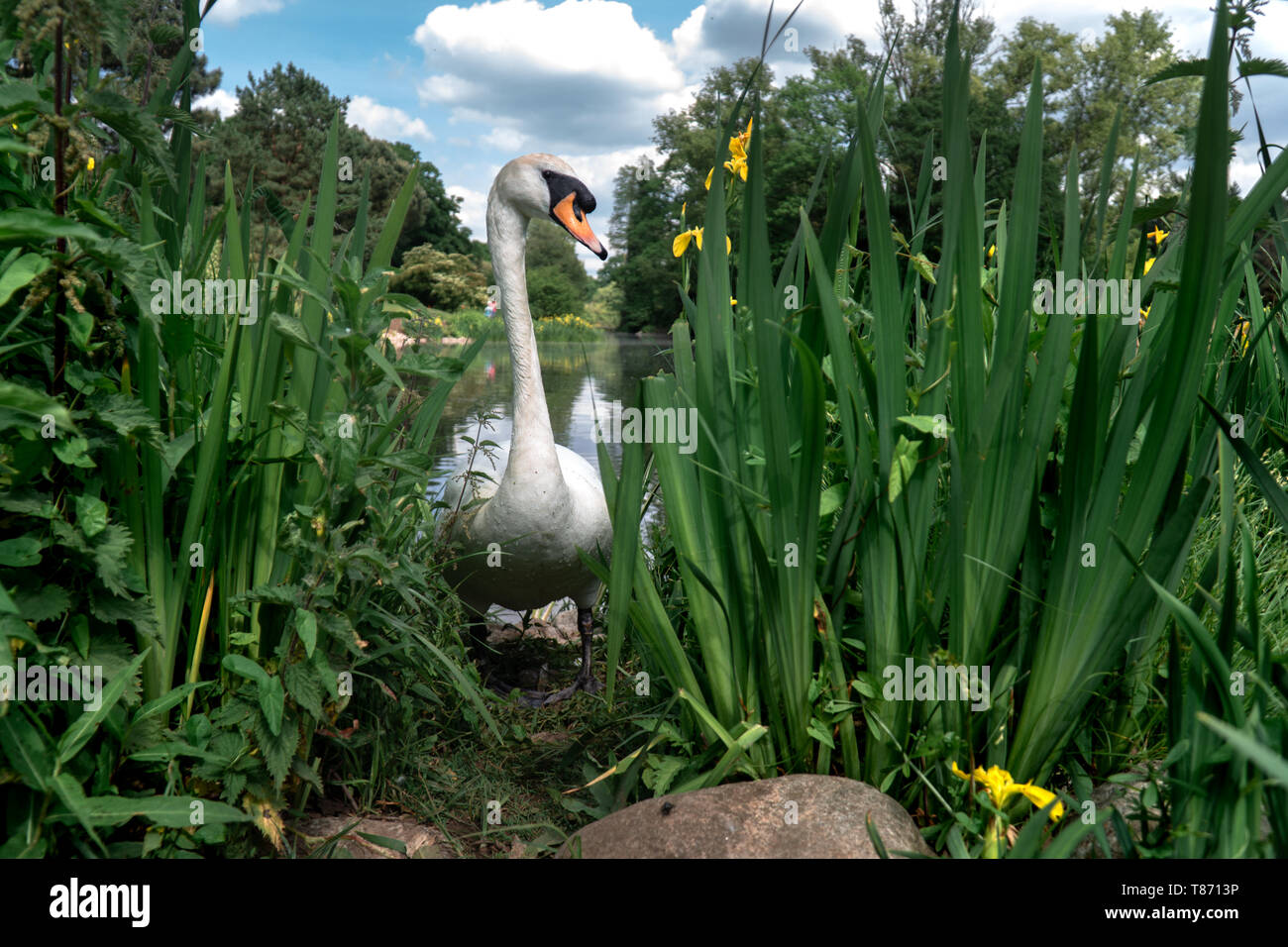 Grounding environment hi-res stock photography and images - Alamy