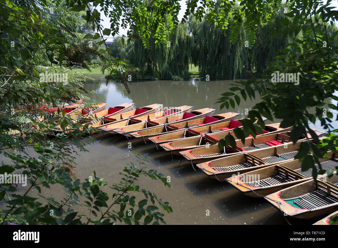 A row of empty punts, tied together on Mill Pond, Cambridge, UK Stock ...
