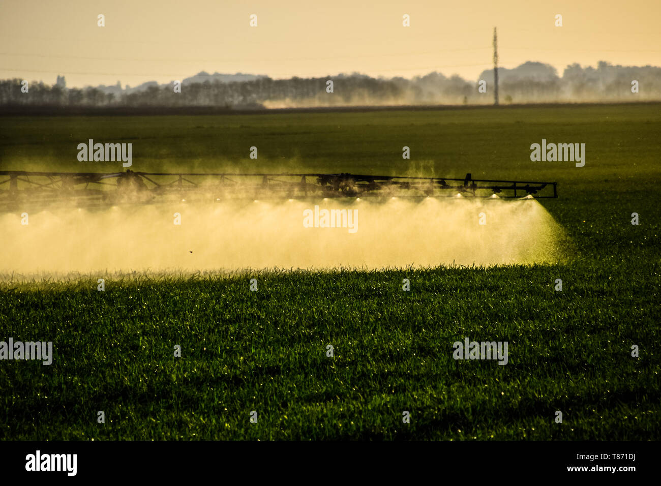 Jets of liquid fertilizer from the tractor sprayer. Tractor with the ...