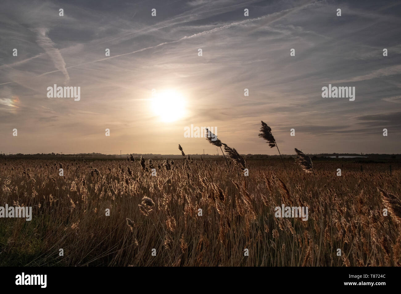 Suffolk fields hi-res stock photography and images - Alamy