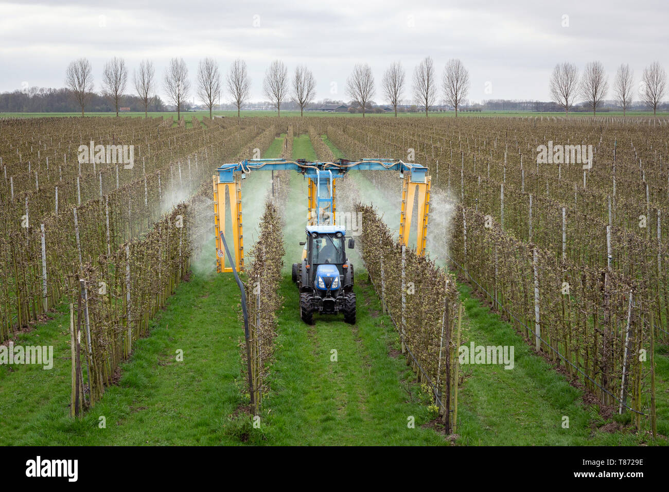 ASPEREN, THE NETHERLANDS - March 31, 2019: Modern orchard sprayer ...