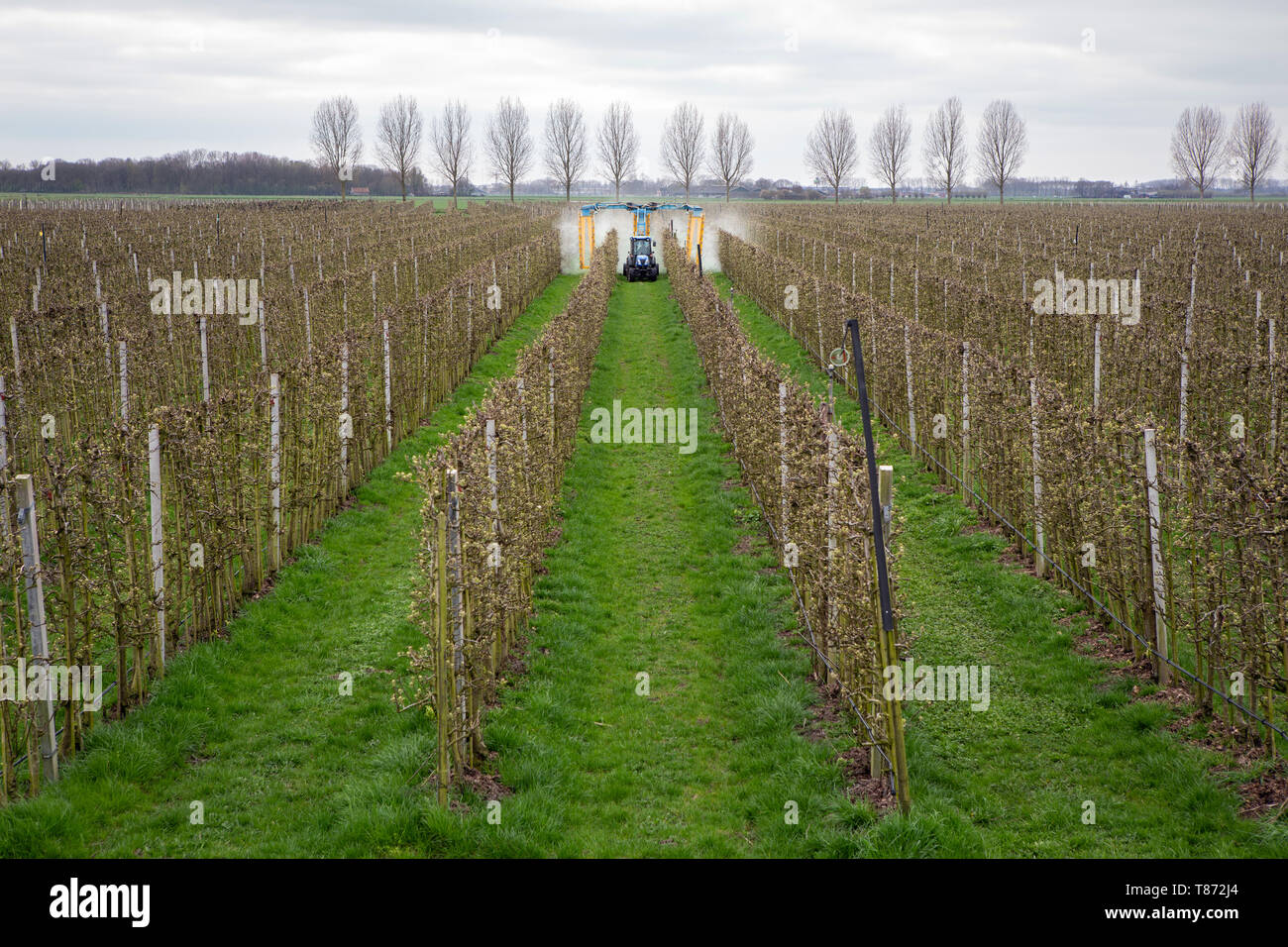 Orchard sprayer hi-res stock photography and images - Alamy