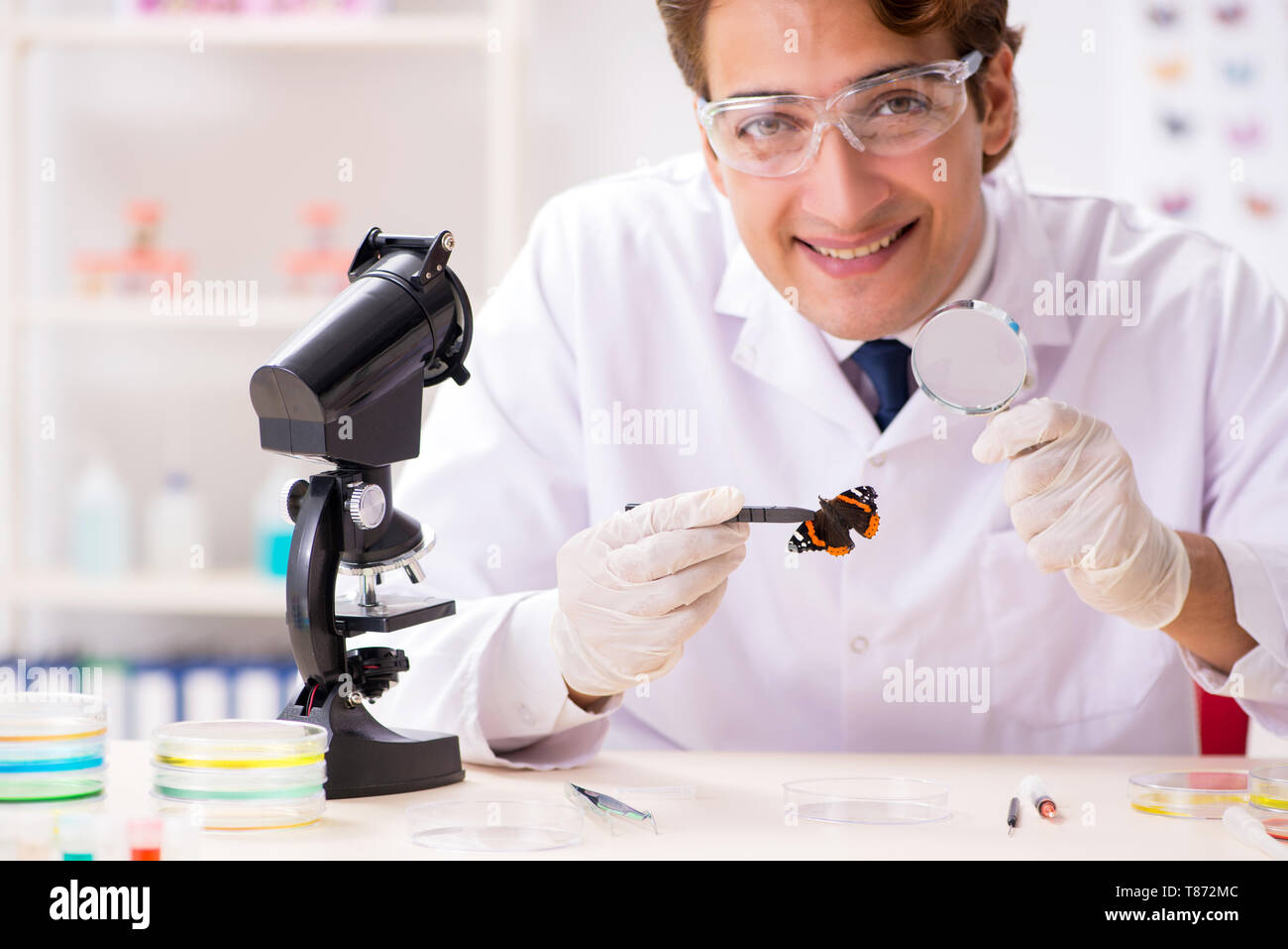 Scientist magnifying glass bug hi-res stock photography and images - Alamy