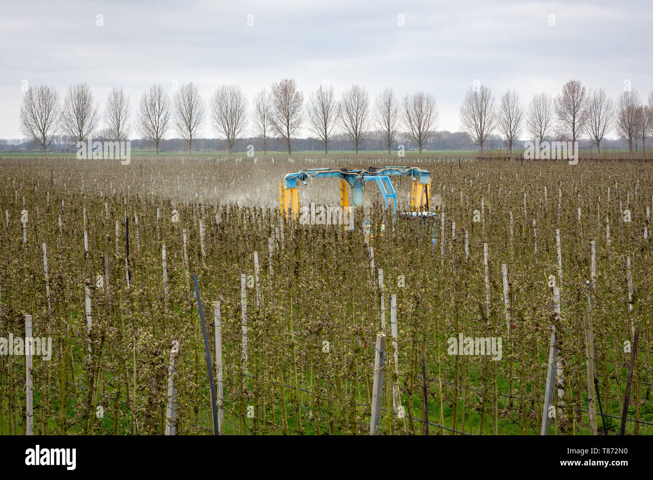 Modern orchard hi-res stock photography and images - Alamy