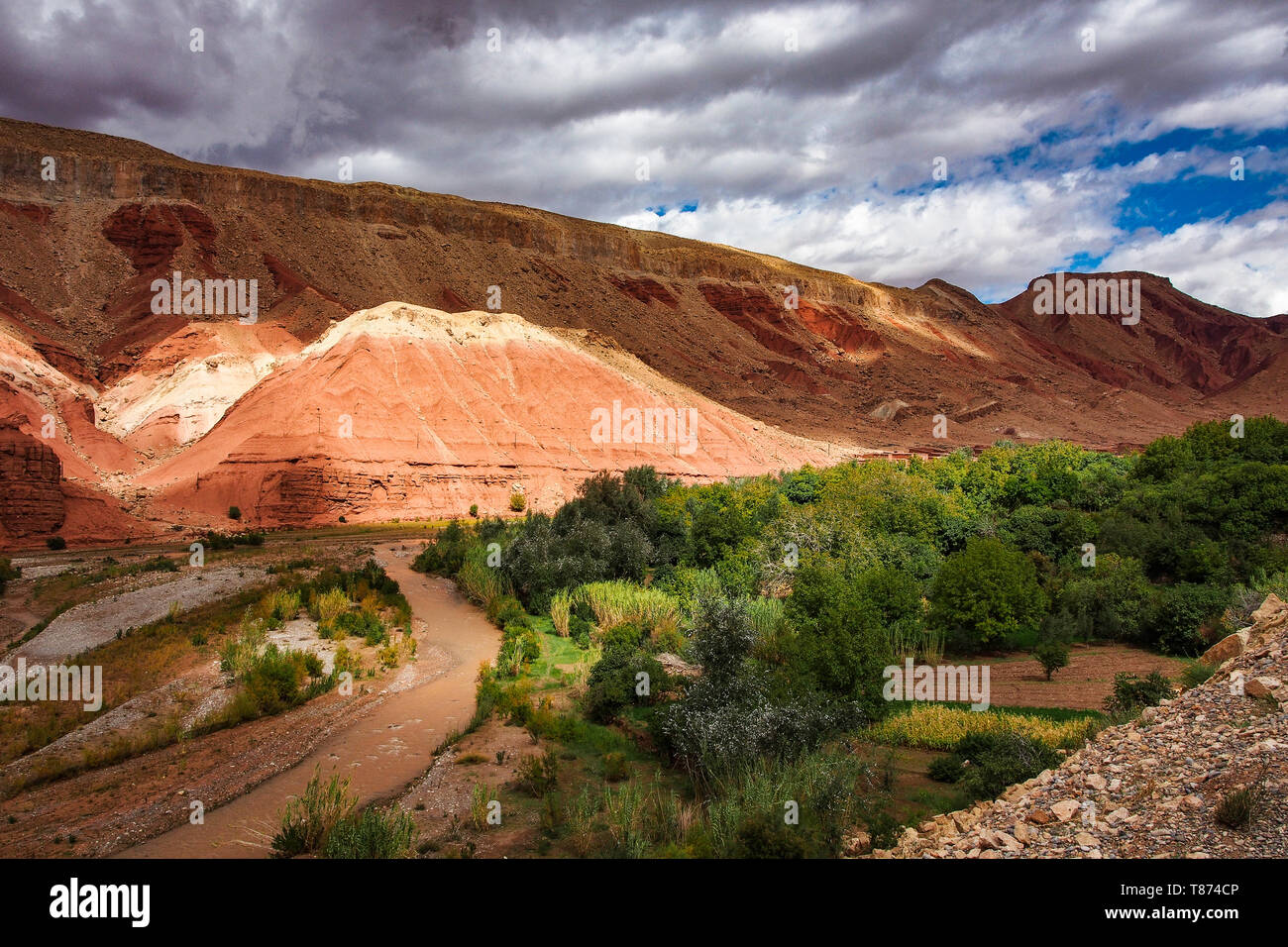 the beautiful Rose Valley - Vallee des Roses, near Ouarzazate, Morocco ...
