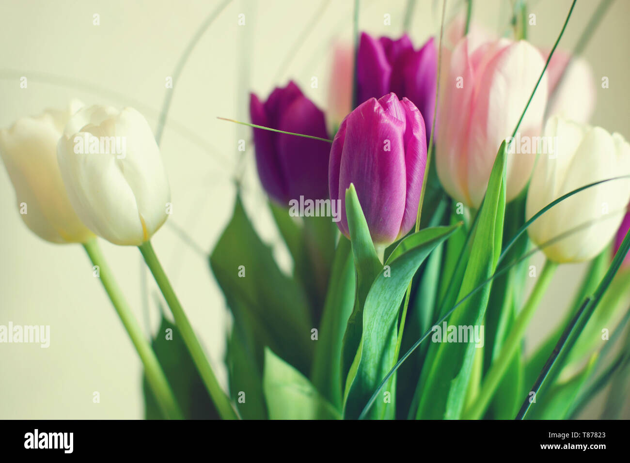 Three flower bouquet hi-res stock photography and images - Alamy