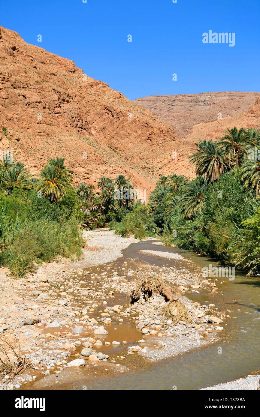 Morocco, Sous-Massa-Draa Region, High Atlas, Todra (Todgha) Valley ...