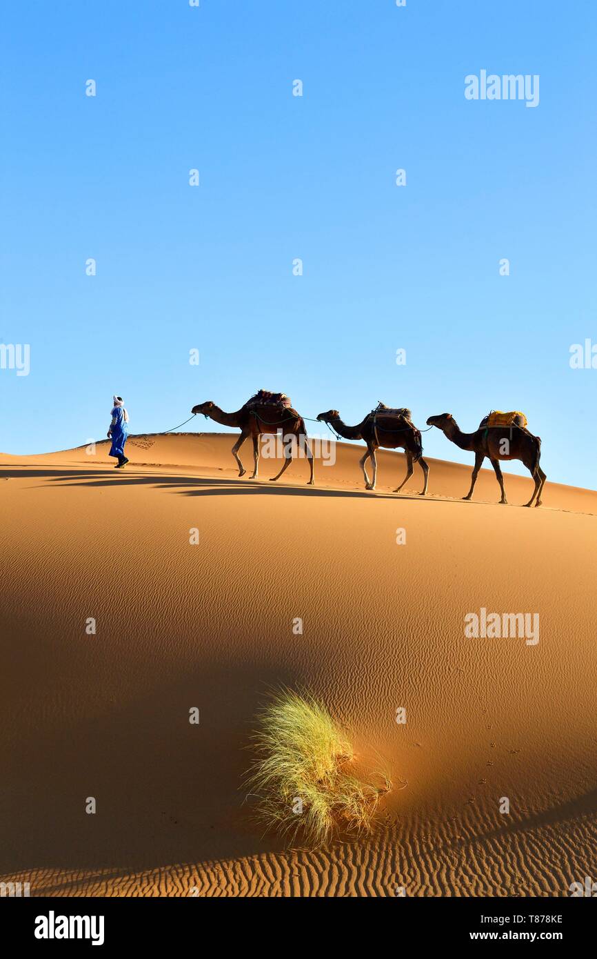 Tagelmust hi-res stock photography and images - Alamy