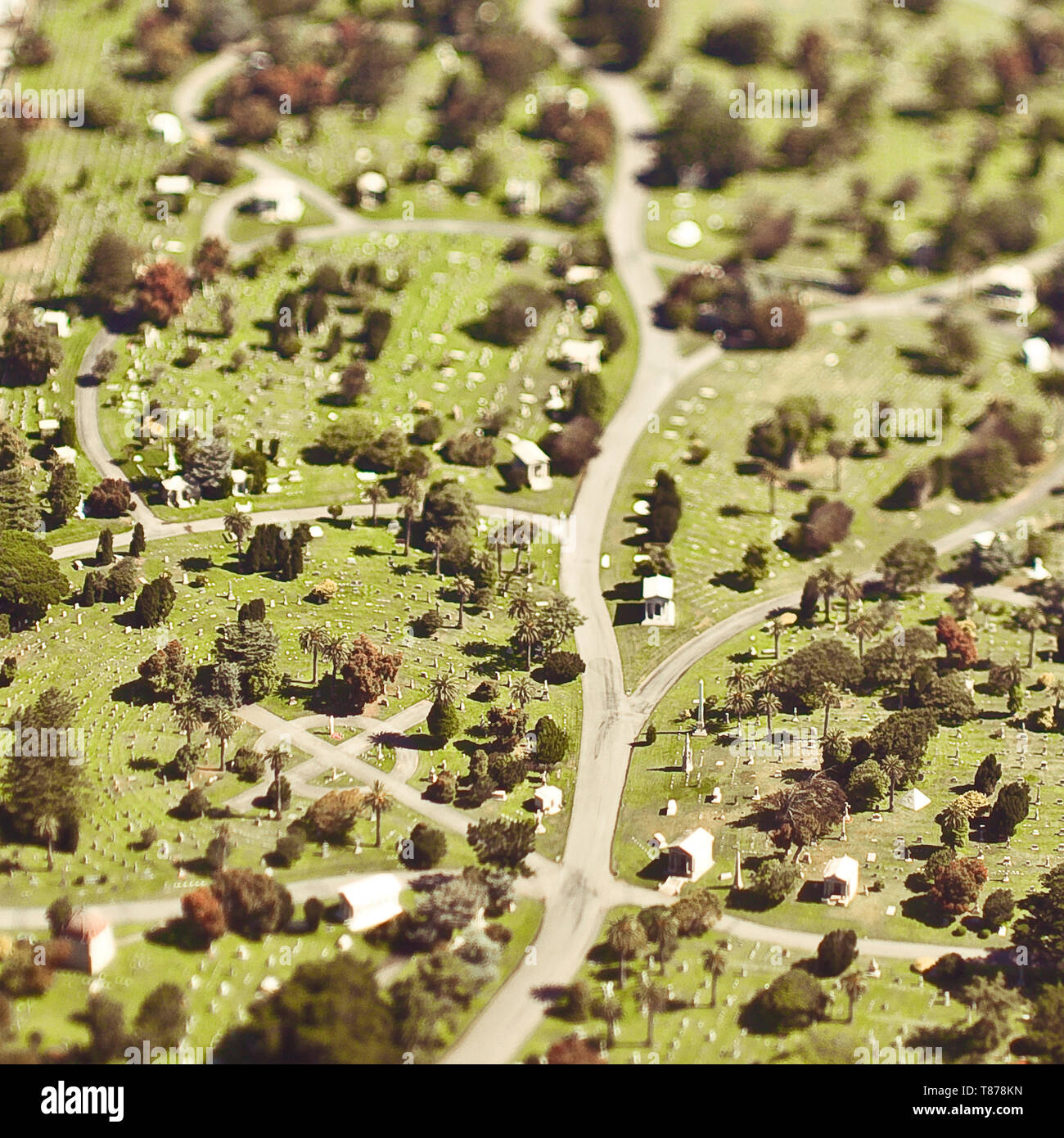 Aerial View of Cemetery Stock Photo - Alamy