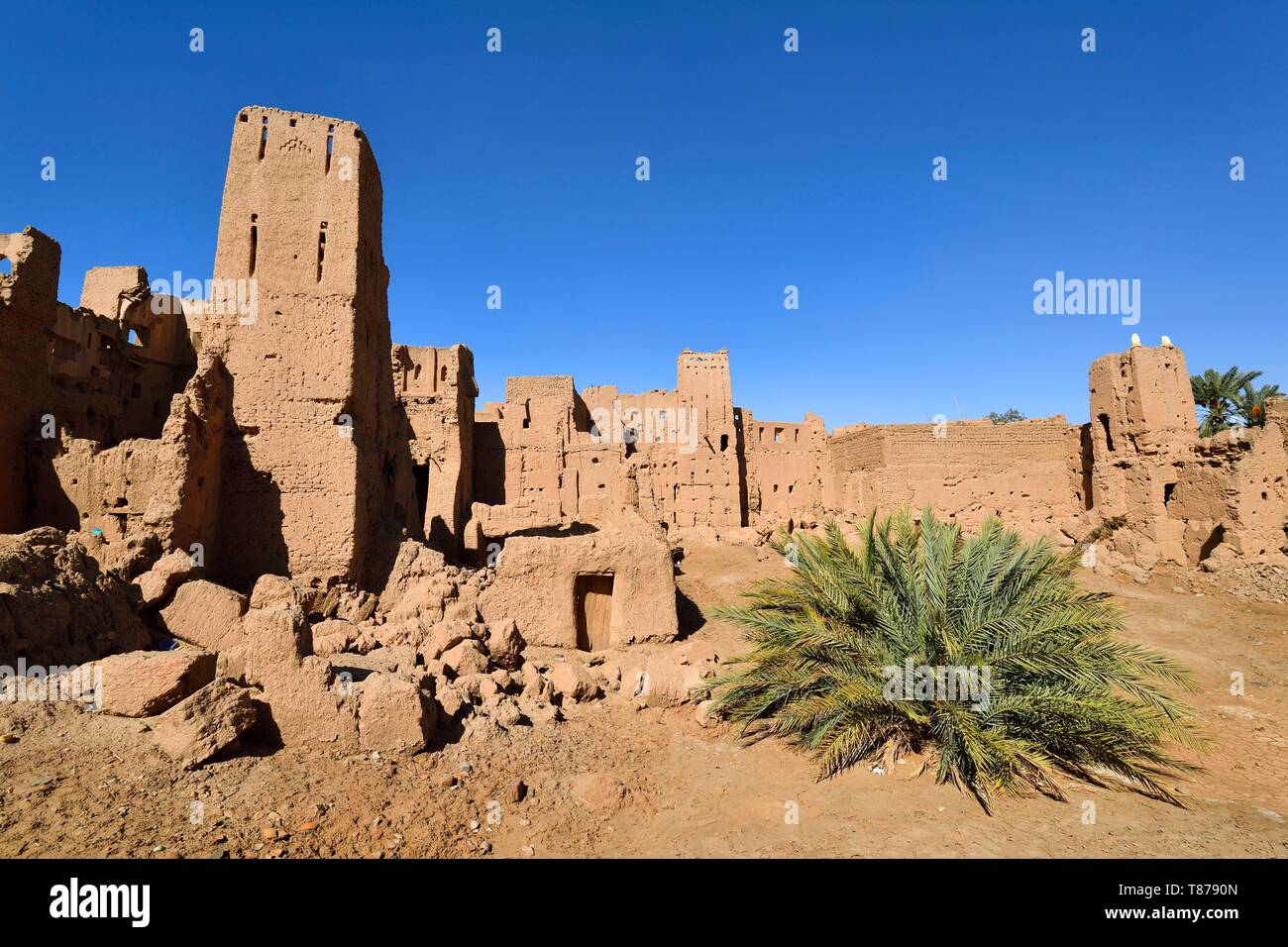 Skoura palmgrove hi-res stock photography and images - Alamy
