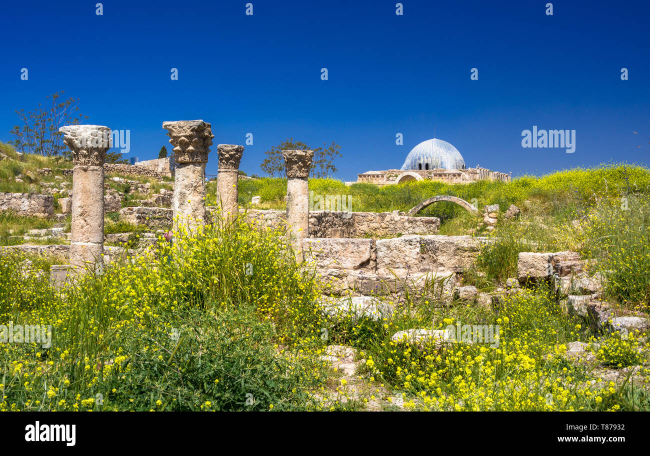 Umayyad Palace at the Amman Citadel, Jordan Stock Photo - Alamy