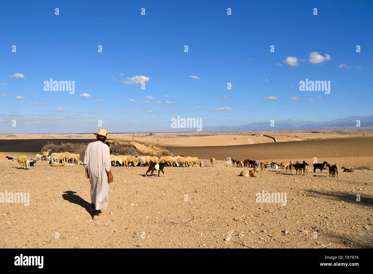 Morocco, High Atlas, Agafay, Agafay desert Stock Photo - Alamy