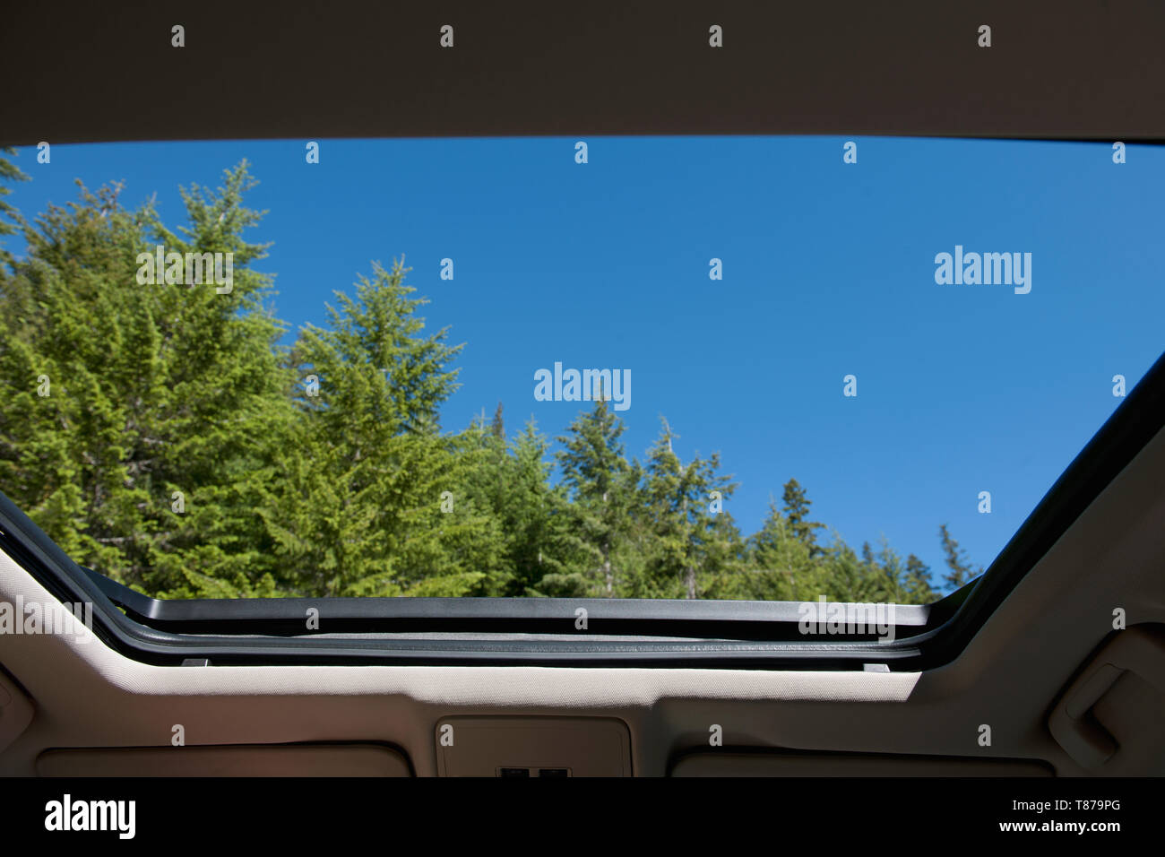 Sunroof looking up hi-res stock photography and images - Alamy