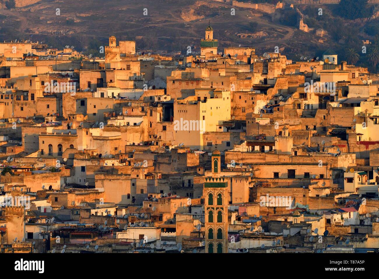 Morocco, Middle Atlas, Fes, Imperial City, Fes el Bali District, medina ...