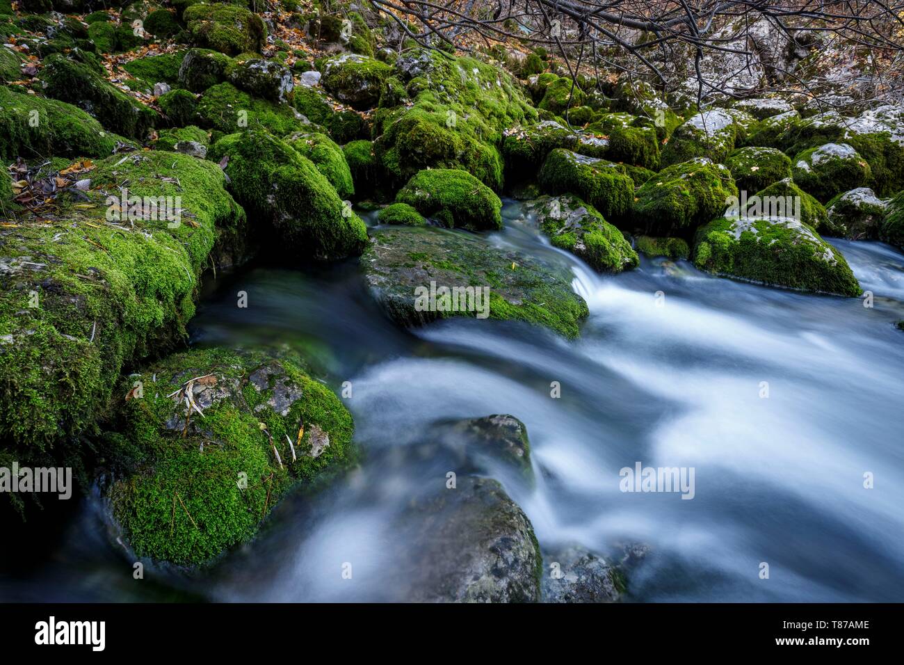 Souloise hi-res stock photography and images - Alamy