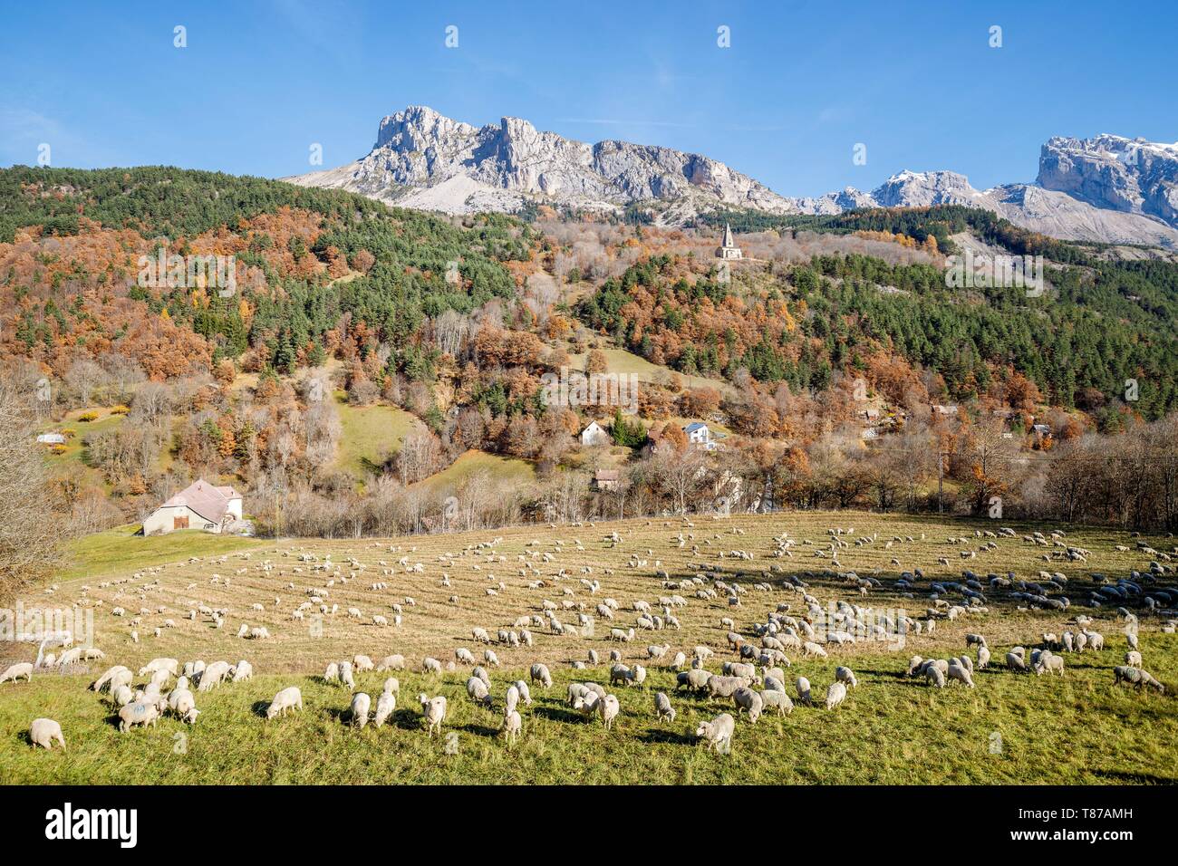 Mountain gicon hi-res stock photography and images - Alamy