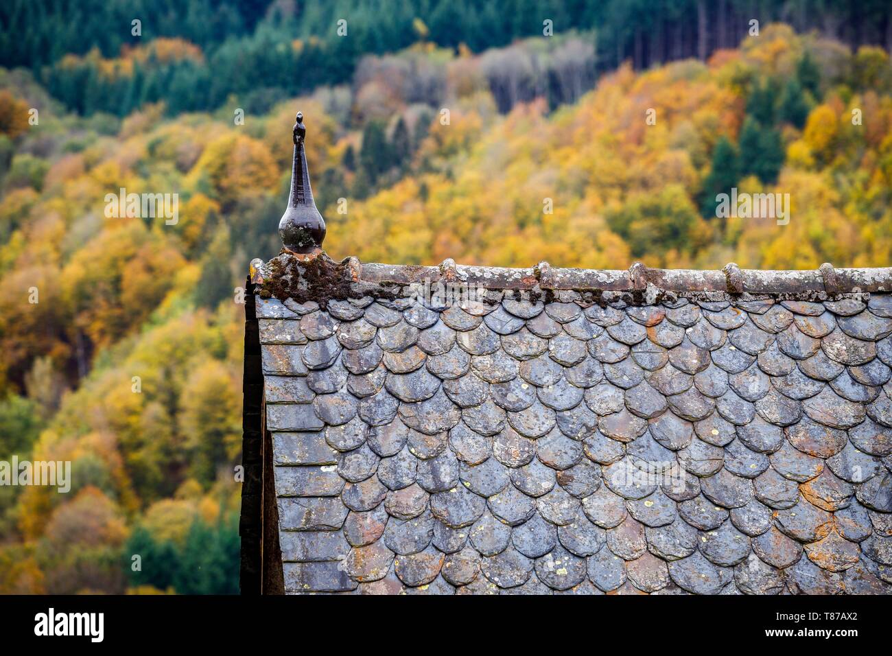 Lauze stone roof hi-res stock photography and images - Alamy
