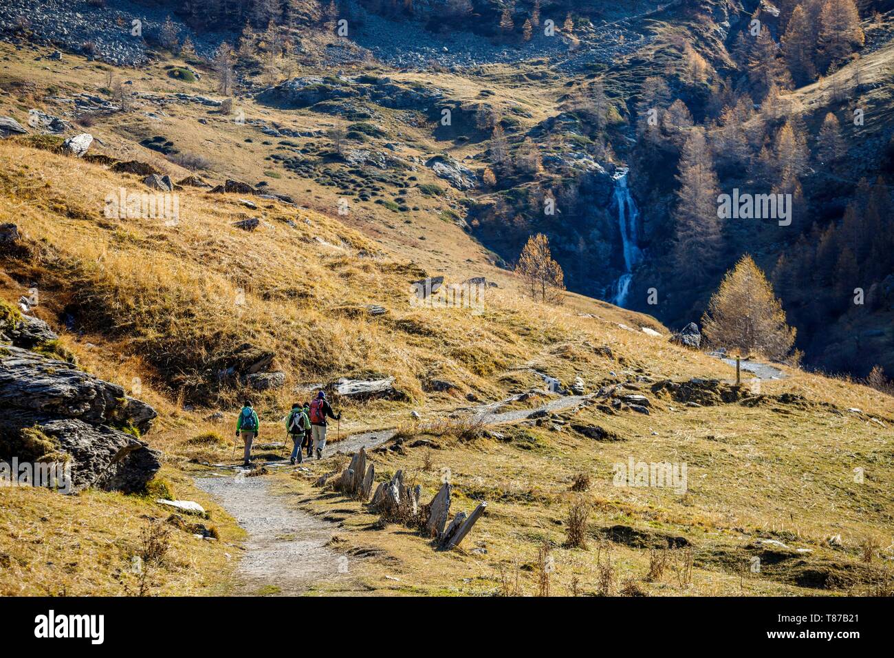 France, Hautes Alpes, Écrins National Park, Champsaur Valley, Orcieres ...
