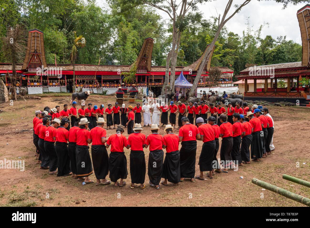 Indonesia, Sulawesi island, Toraja country, Tana Toraja, funeral ...