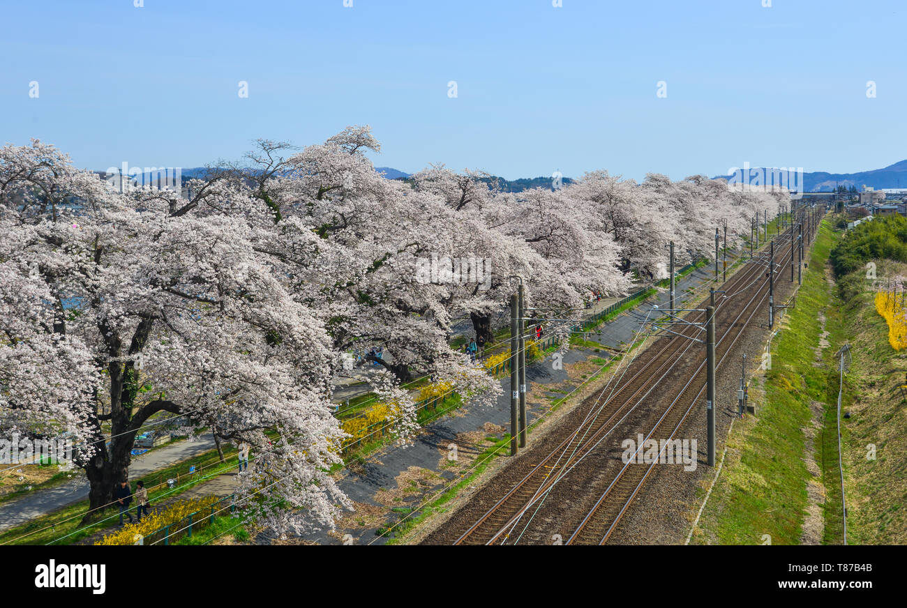 Miyagi zao hi-res stock photography and images - Alamy