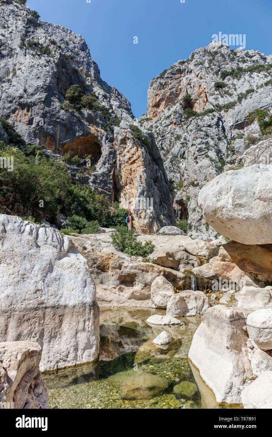 Italy, Sardinia, Nuoro Province, Dorgali, Supramonte di Urzulei ...