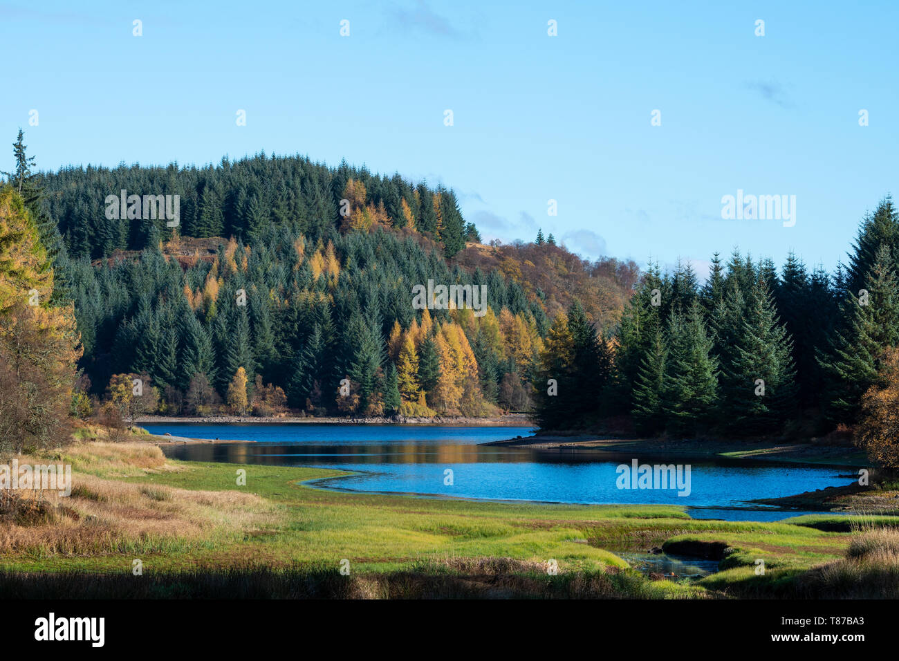 View of Loch Drunkie on the Achray Forest Drive in the Trossachs ...
