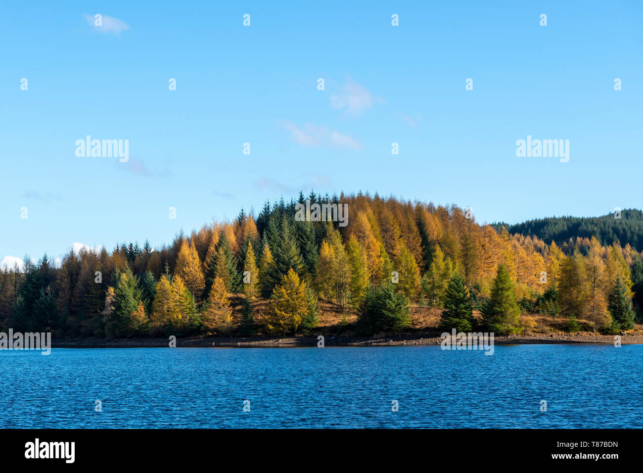 View across Loch Drunkie on the Achray Forest Drive in the Trossachs ...