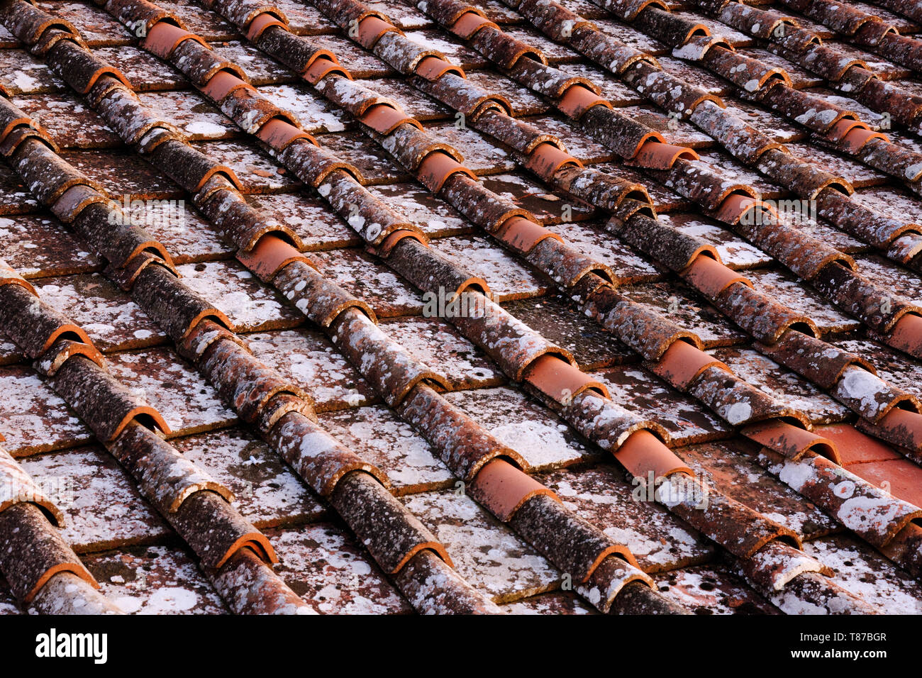 Detail of Roof Tiles Stock Photo - Alamy