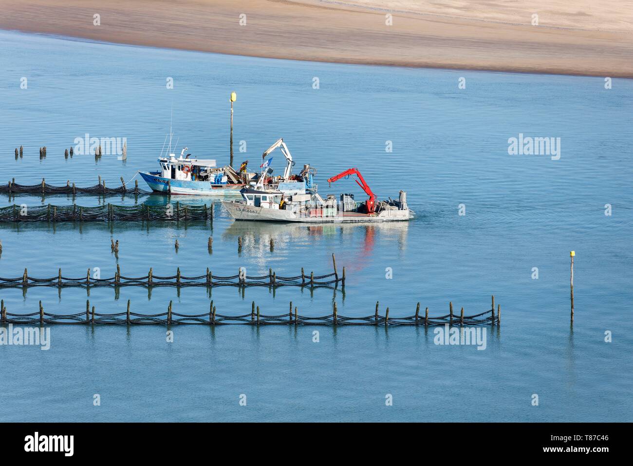 Mussel Farm Boat High Resolution Stock Photography and Images - Alamy