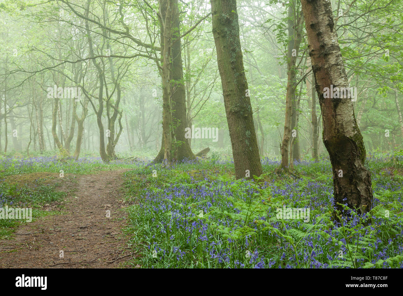 Countryside england spring hi-res stock photography and images - Alamy
