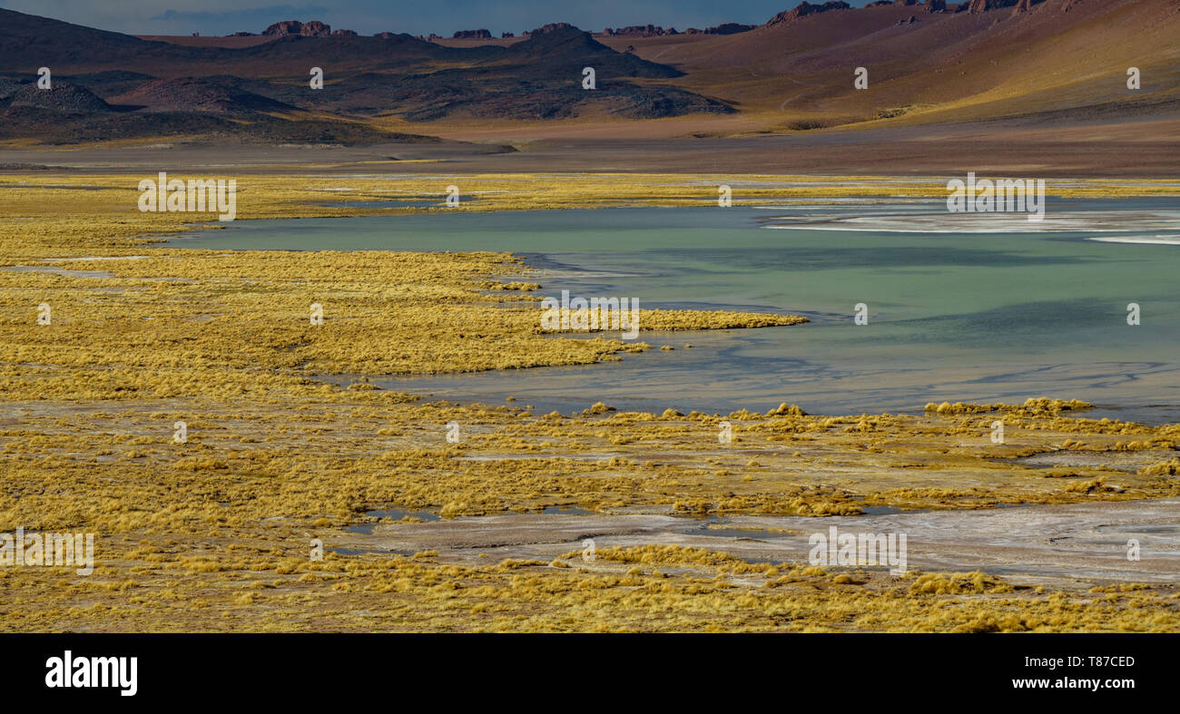 Colorful salar in the Atacama highlands, Chile Stock Photo - Alamy